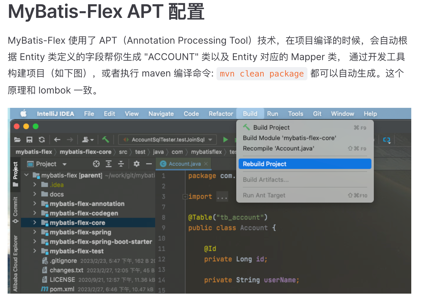 mybatis-flex 框架的学习与使用 | Sora33